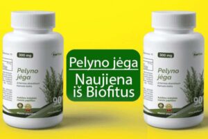 „Biofitus“ atskleidžia: ar pelynas yra geras pasirinkimas pagerinti ...